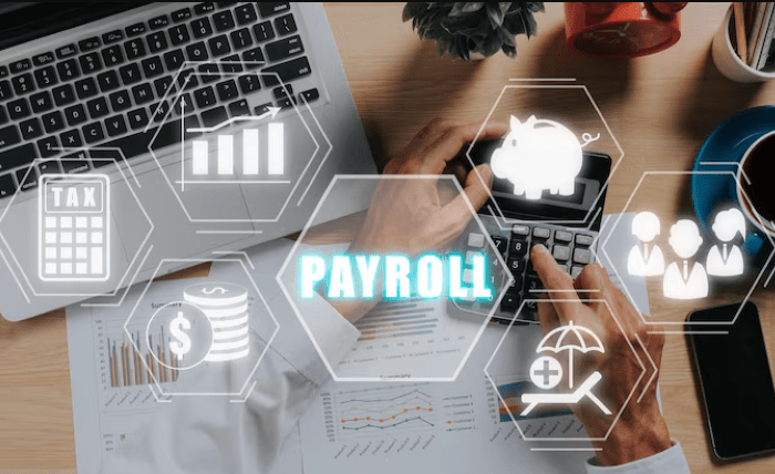 Why Professional Payroll Services are Essential for Business Growth